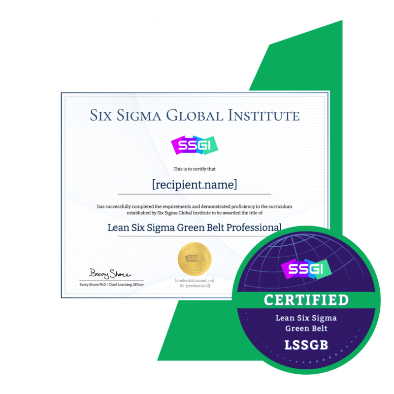 Lean Six Sigma for Government: Certification, Benefits & Use Cases