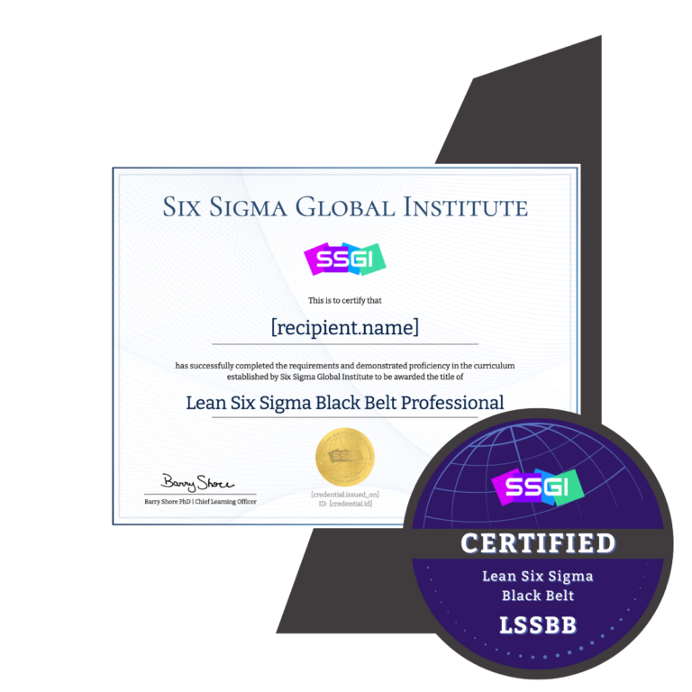 Lean Six Sigma for Government: Certification, Benefits & Use Cases