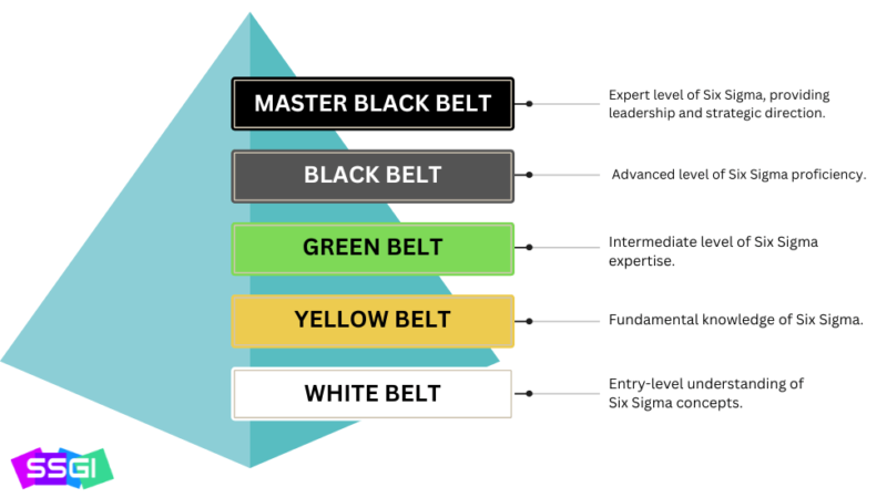 Lean Six Sigma for Government: Benefits, Examples & Certification Training